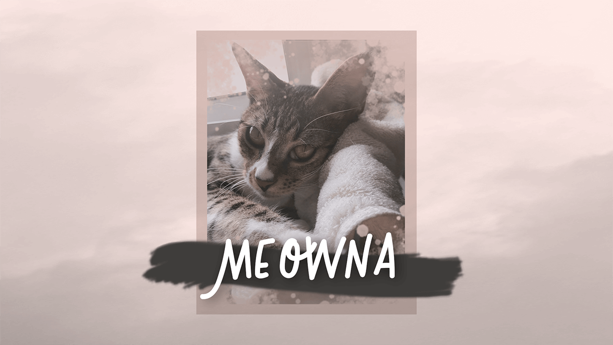 開台時間表 - Meowna